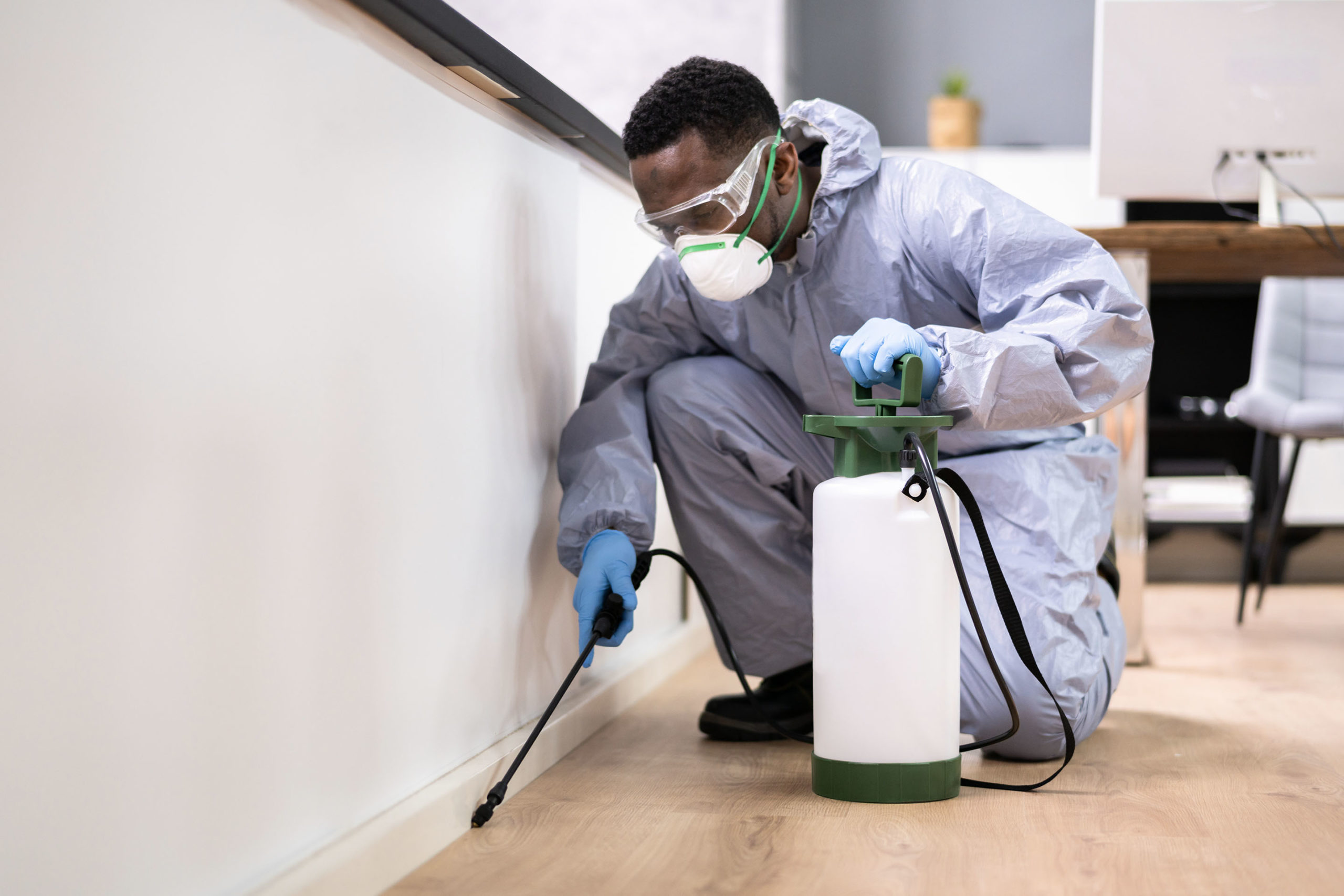 5 Best Pest Control Companies - Tacoma News Tribune